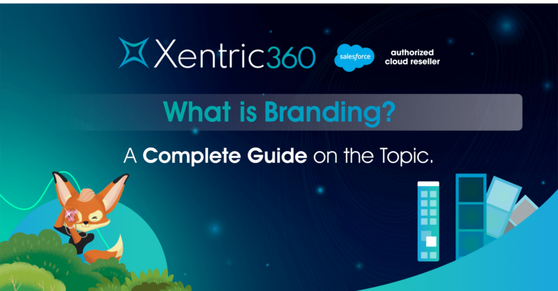 What is Branding? A Comprehensive Guide by Xentric 360